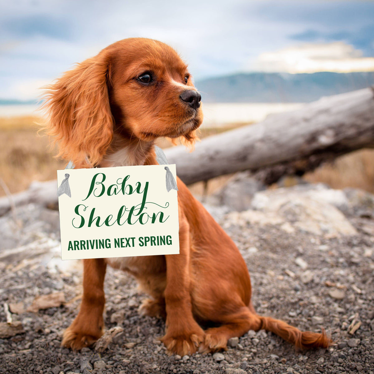 Personalized Baby Announcement Sign | Baby Arriving Sign - Ritzy Rose