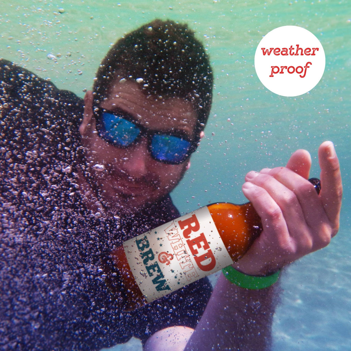 Funny Beer Lover Christmas Labels - 6 Pack IPA Reinbeers Brewdolf ...