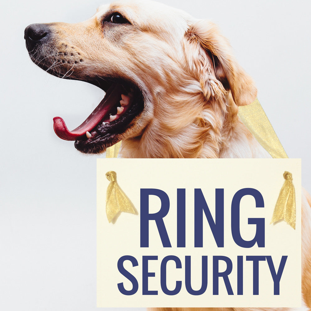 Ring Security Banner for Ring Bearer or Page Boy - Ritzy Rose